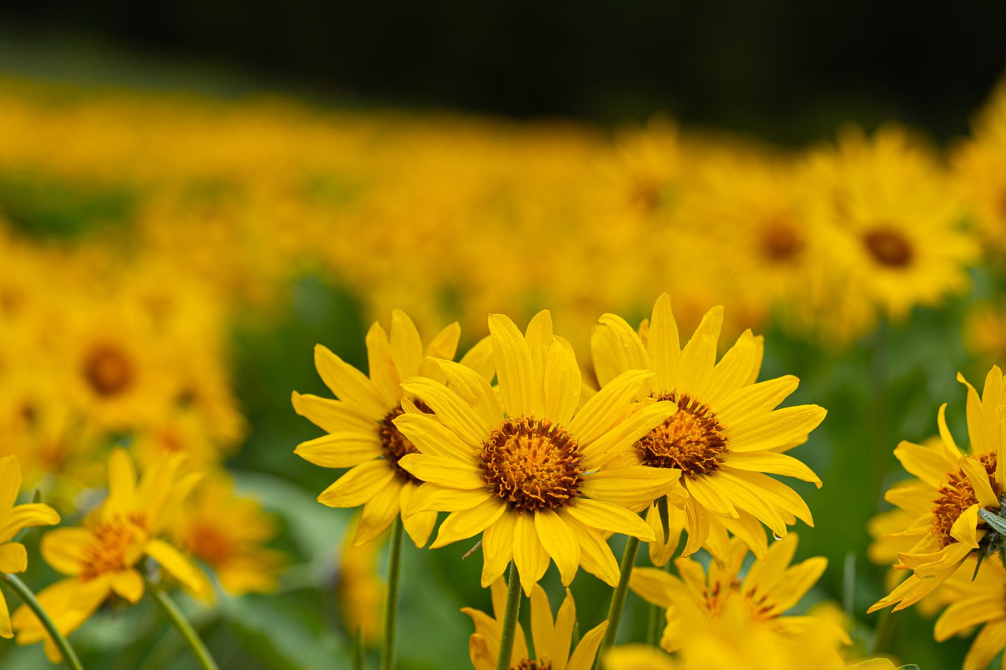 Assembling a Composite