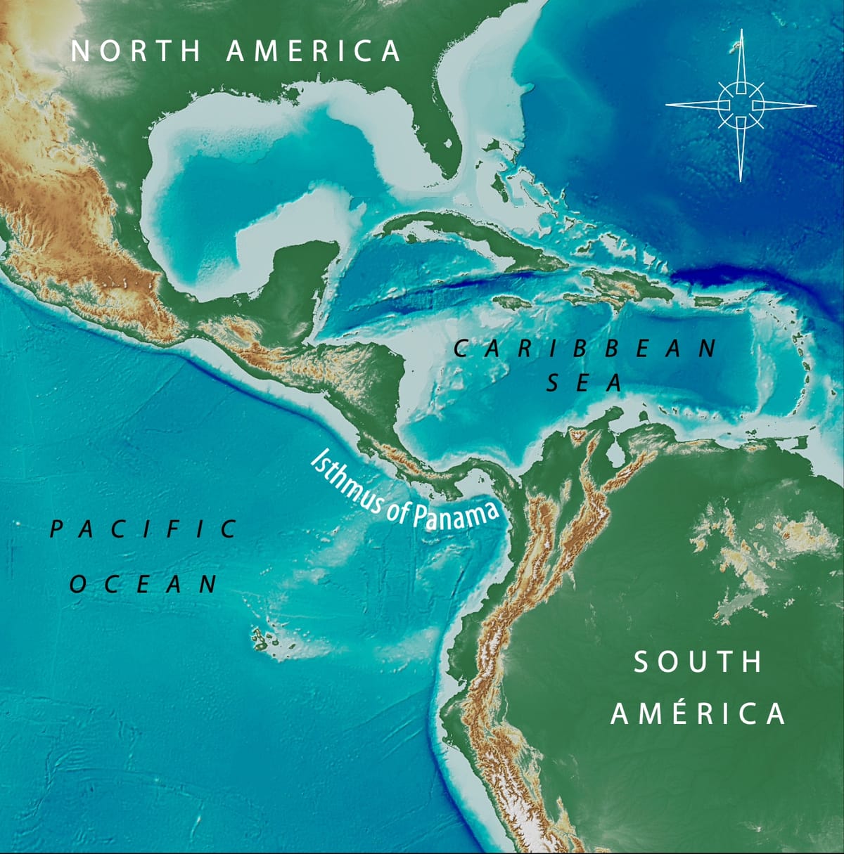 The Little Sliver That Could