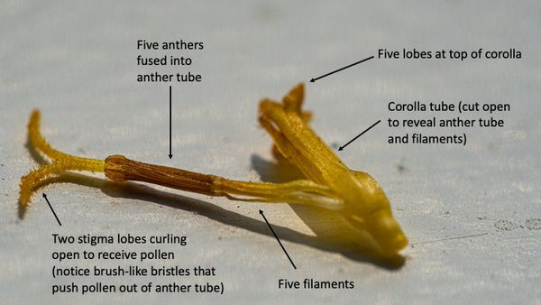 Assembling a Composite